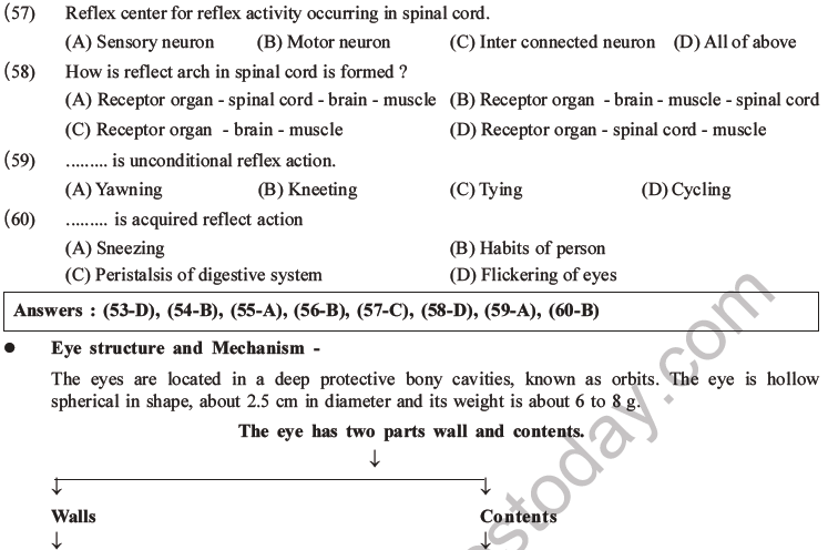 NEET Biology Neural Control and Coordination MCQs Set A with Answers